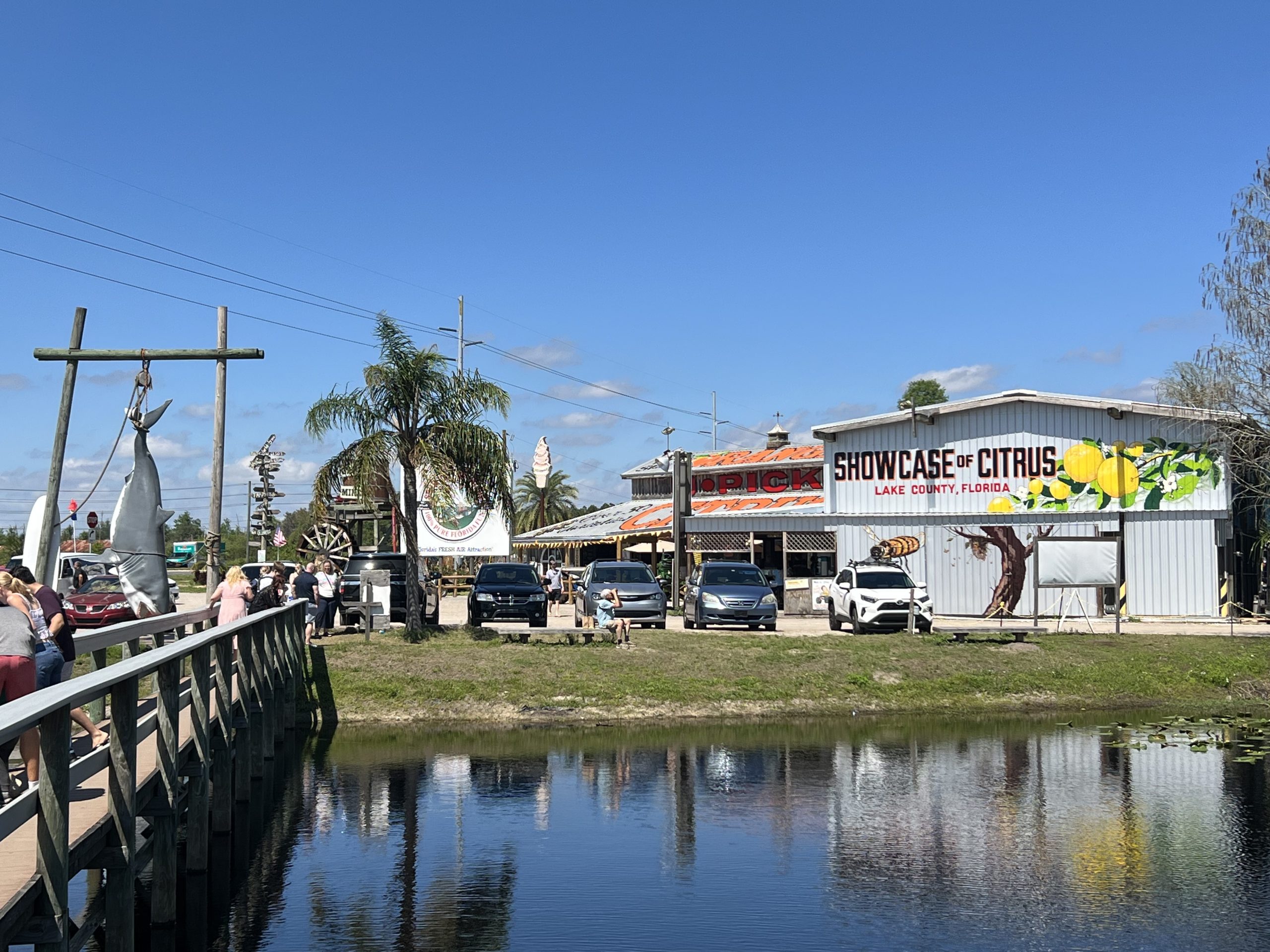 Showcase of Citrus a Fun Florida Family Adventure - Windsor Island ...